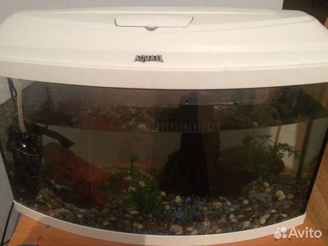 Продам аквариум