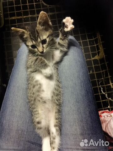 Добавьте уюта в своё жилище)