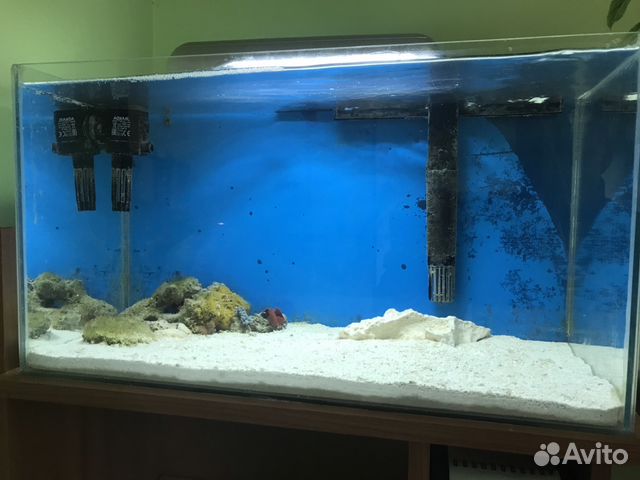 Морской аквариум 35 литров комплект