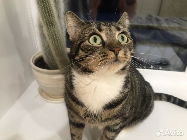 Крик души Срочный переезд