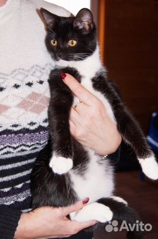 Чудесная малышка ищет дом