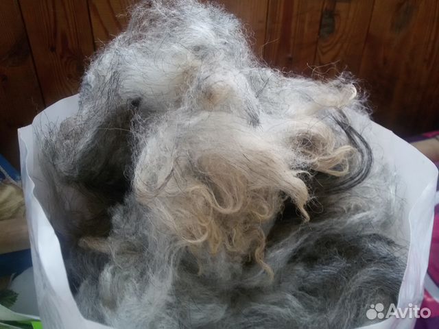 Шерсть овечья