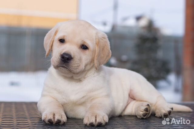 Малыши ждут родителей