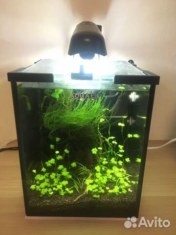 Аквариум Куб Aquael 10л