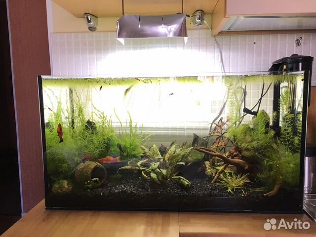 Аквариум 100 л