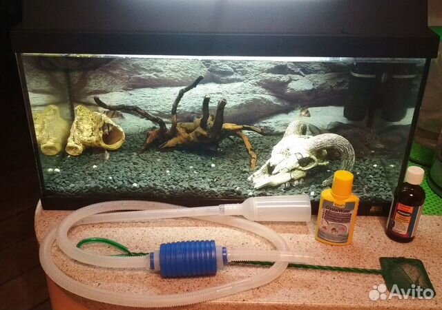 Аквариум Juwel 55 L + рыбы