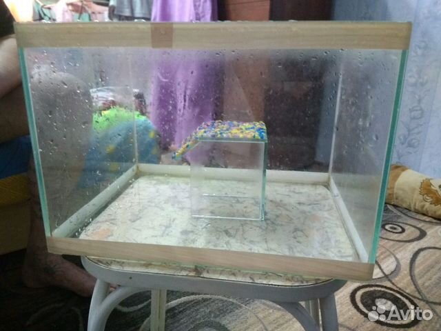 Аквариу-терариум