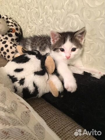 В ответственные руки