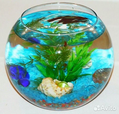 Аквариум-подарок с рыбкой 2 л, 4л, 7 литров