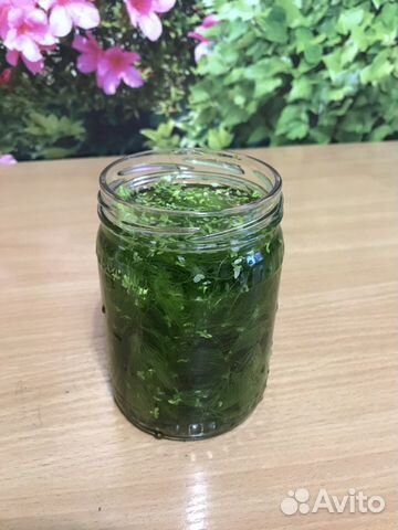 Водоросли в аквариум безплатно