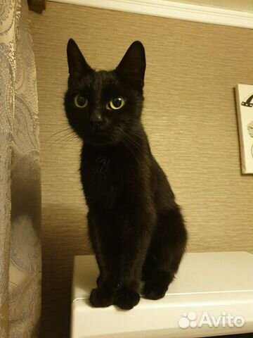 Волшебный ребенок