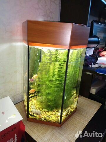 Аквариум шестигранник 55 л