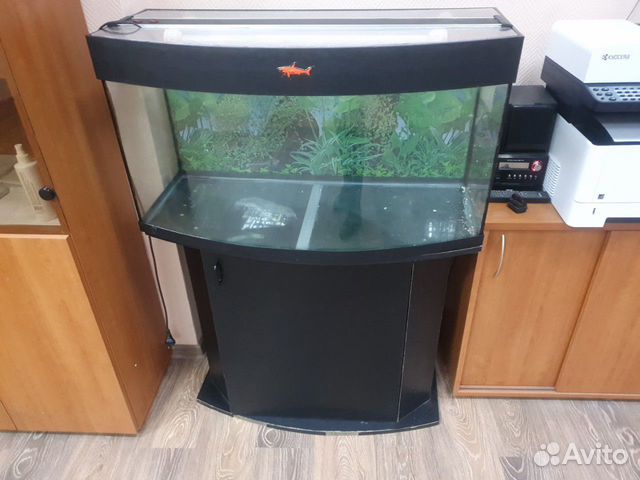 Аквариум