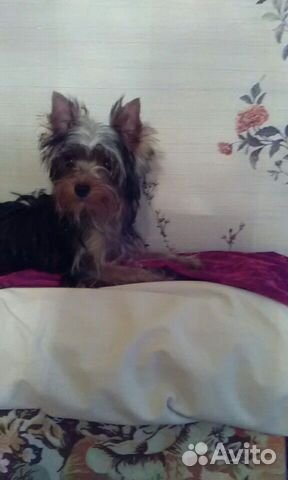 Подрощенный мальчик