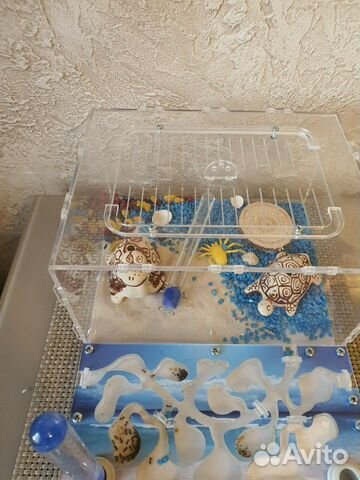 Фармикарий