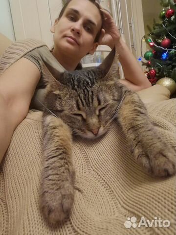 Кошка Кыся ищет дом