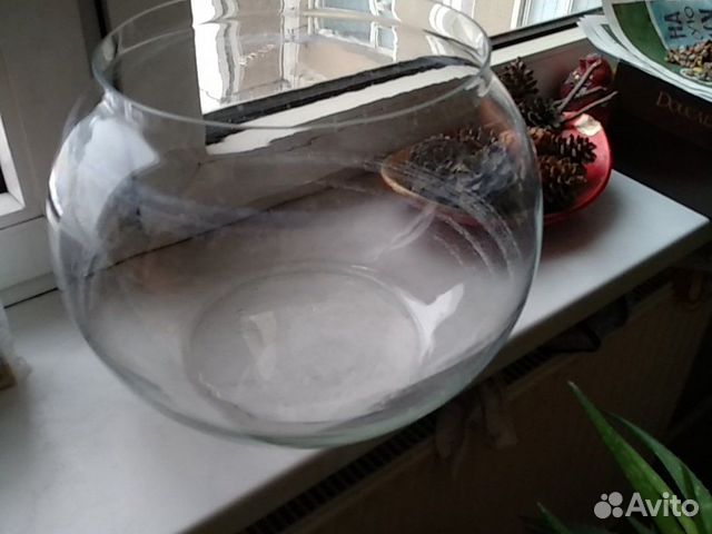 Сферической аквариум, 18-20 литров