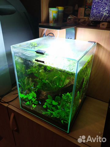 Аквариум Акваэль 20л