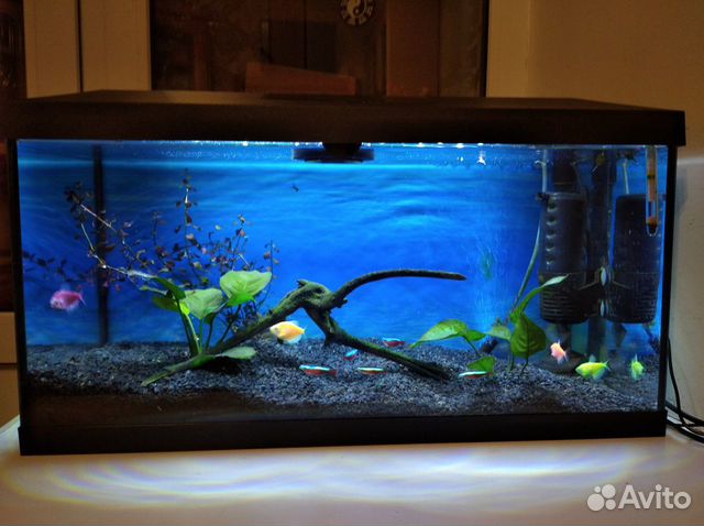 Аквариум AquaEl Leddy Set 60, полный комплект