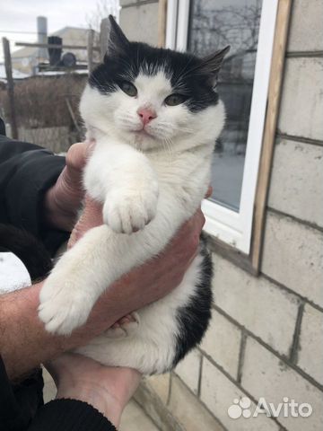 Мальчик ищет любящую семью