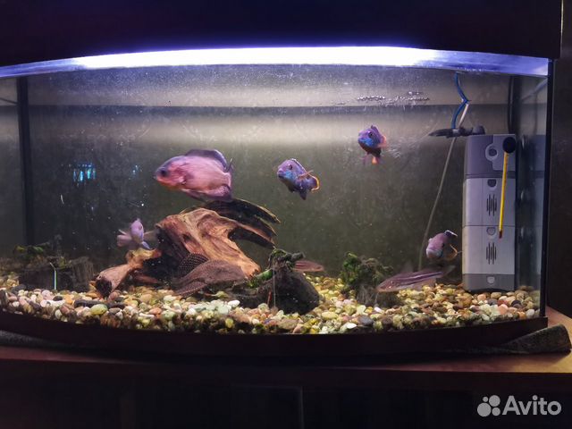 Аквариум 175 л