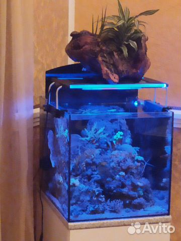 Светильник для морского аквариума zetlighn zt6500