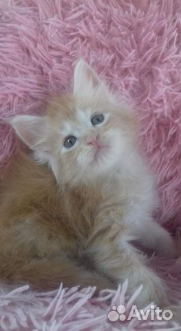 Красный мраморный мальчик