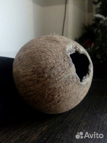 Кокос в аквариум