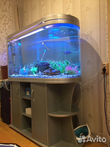 Шикарный аквариум