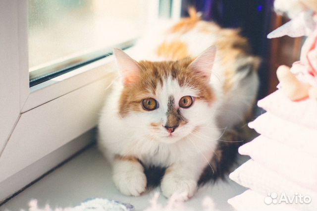 Тепло. Нежно. И много любви. Даже в карантин