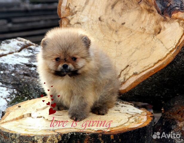 Мини пушинка