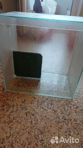 Черепашник