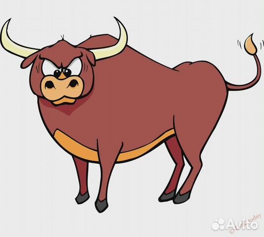 Продаются быки