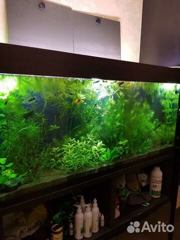 Аквариум 264л