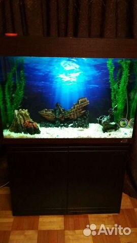 Аквариум