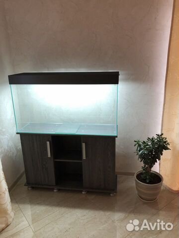 Аквариумы оптом и в розницу