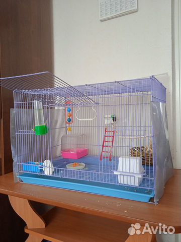 Большая клетка и 2 попугая