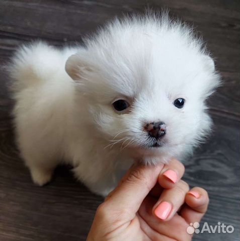 Крошечный мальчик