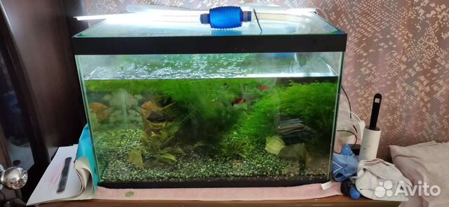 Аквариум