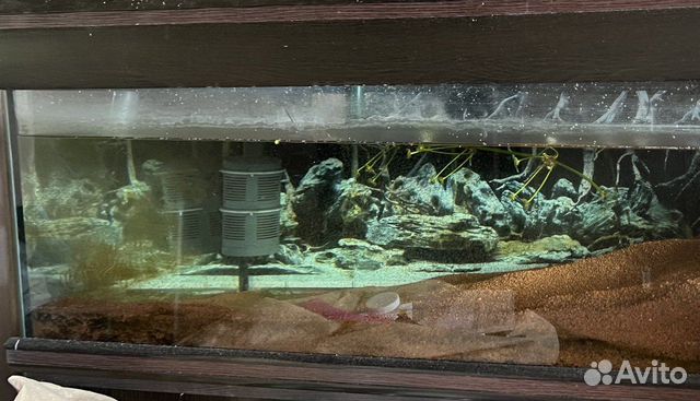Продам Аквариум 150 литров