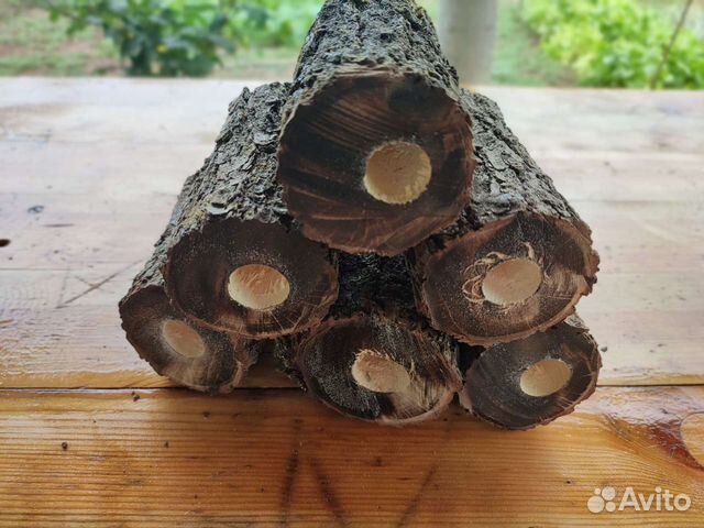 Коряга - укрытие для анциструсов и ракообразных