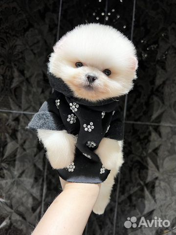 Суперская микро/мини девочка