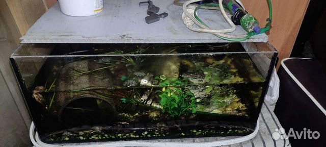 Аквариум