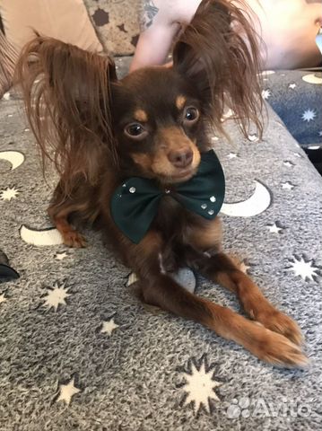 Ищем подружку