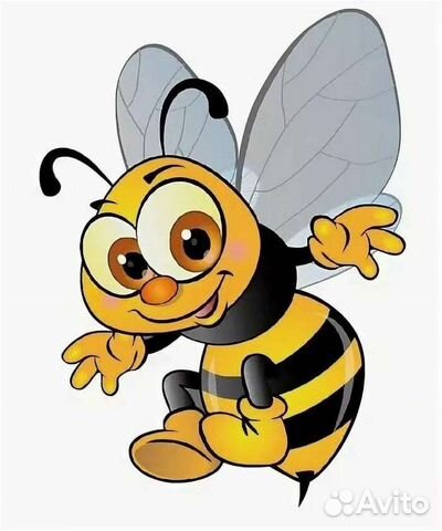 Пчелы среднерусской породы