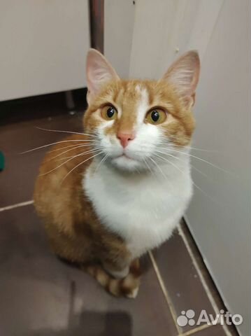 У нее есть 5 дней, потом улица