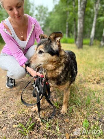 Спокойная скромная небольшая девочка ищет дом