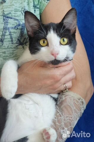 Так грустно жить одной