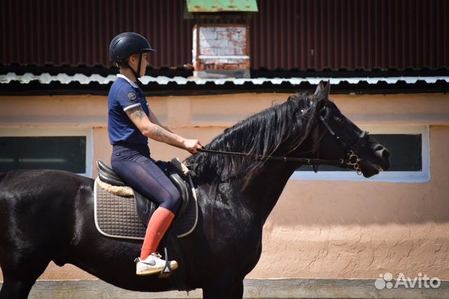 Огромный красавец