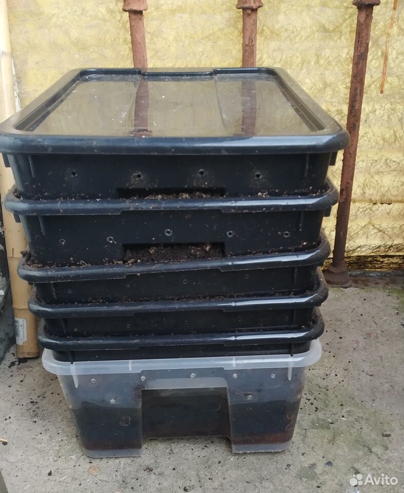 Черви-старатели с биогумусом и контейнерами